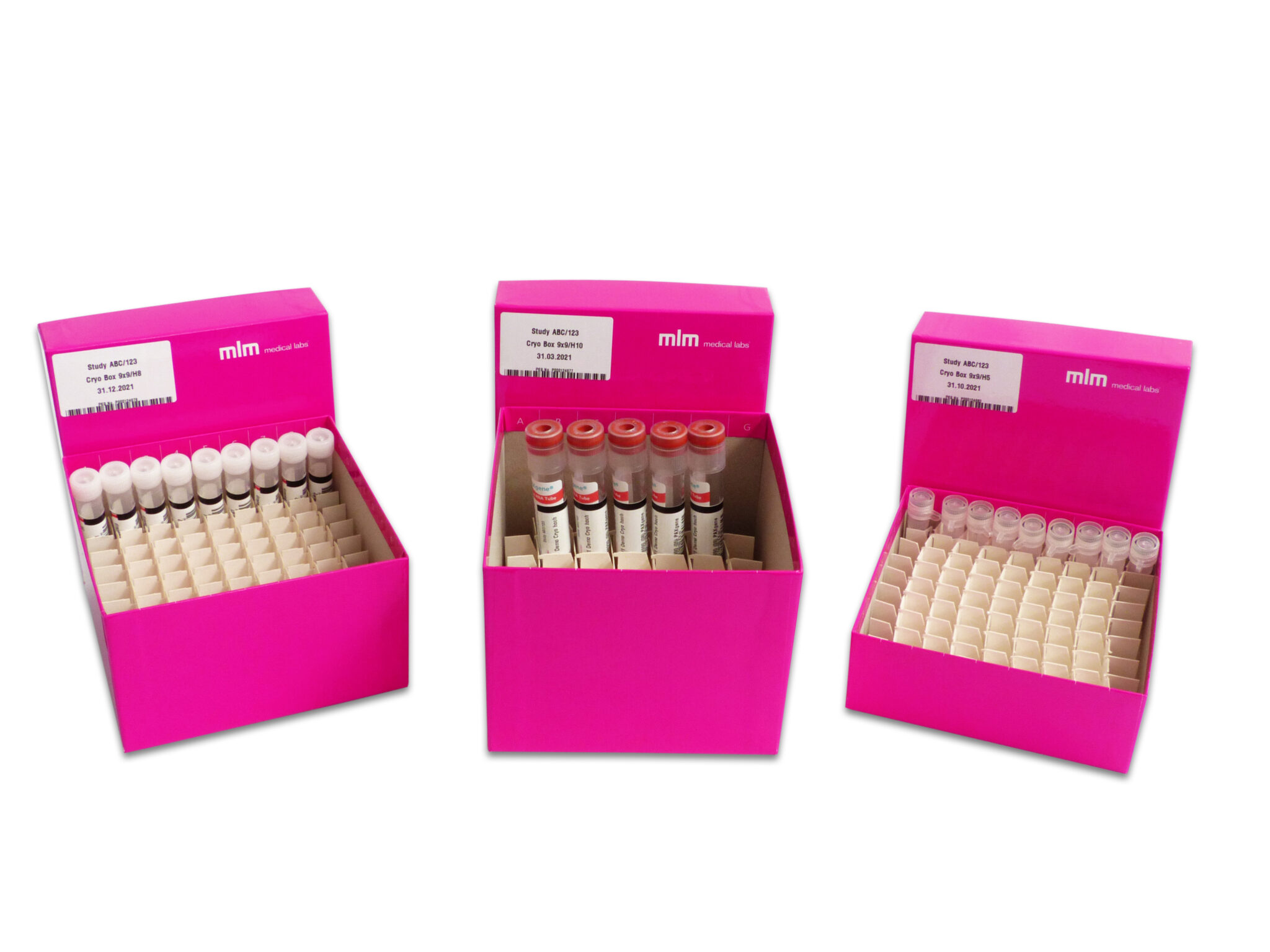 Temperature-Controlled Safeguard Packaging Solutions