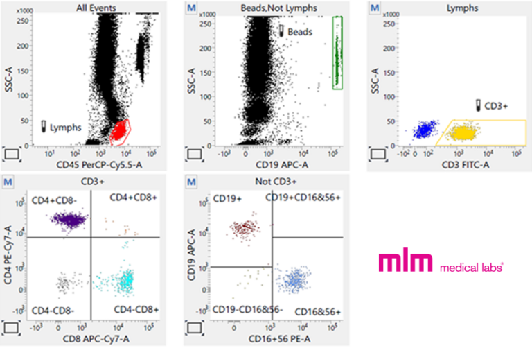 Flow Cytometry Testing Services | MLM Medical Labs